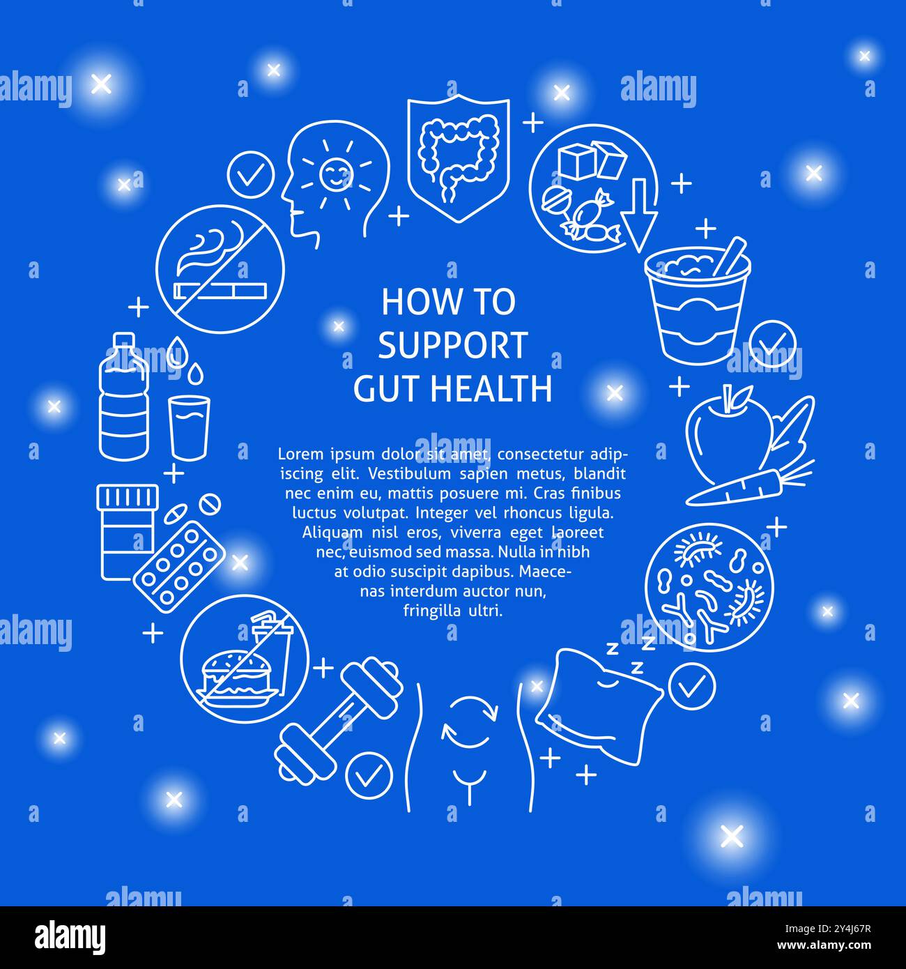 How to support gut health banner template with place for text. Vector ...
