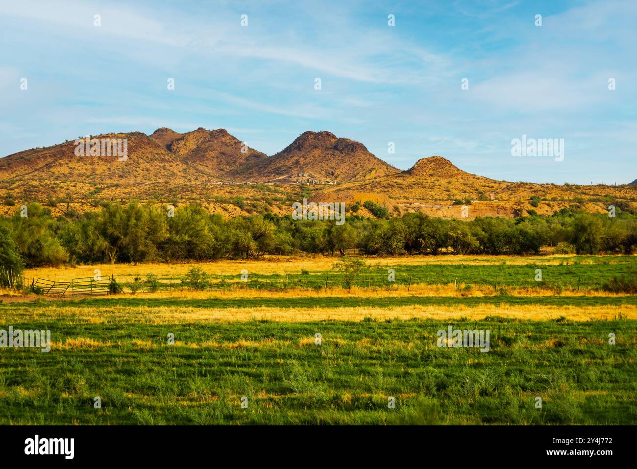 A serene view of the contrasting landscapes in Peoria, Arizona, where ...