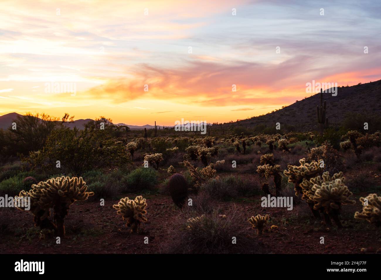 Color photograph of a gorgeous sunset at Apache Wash Trailhead in ...