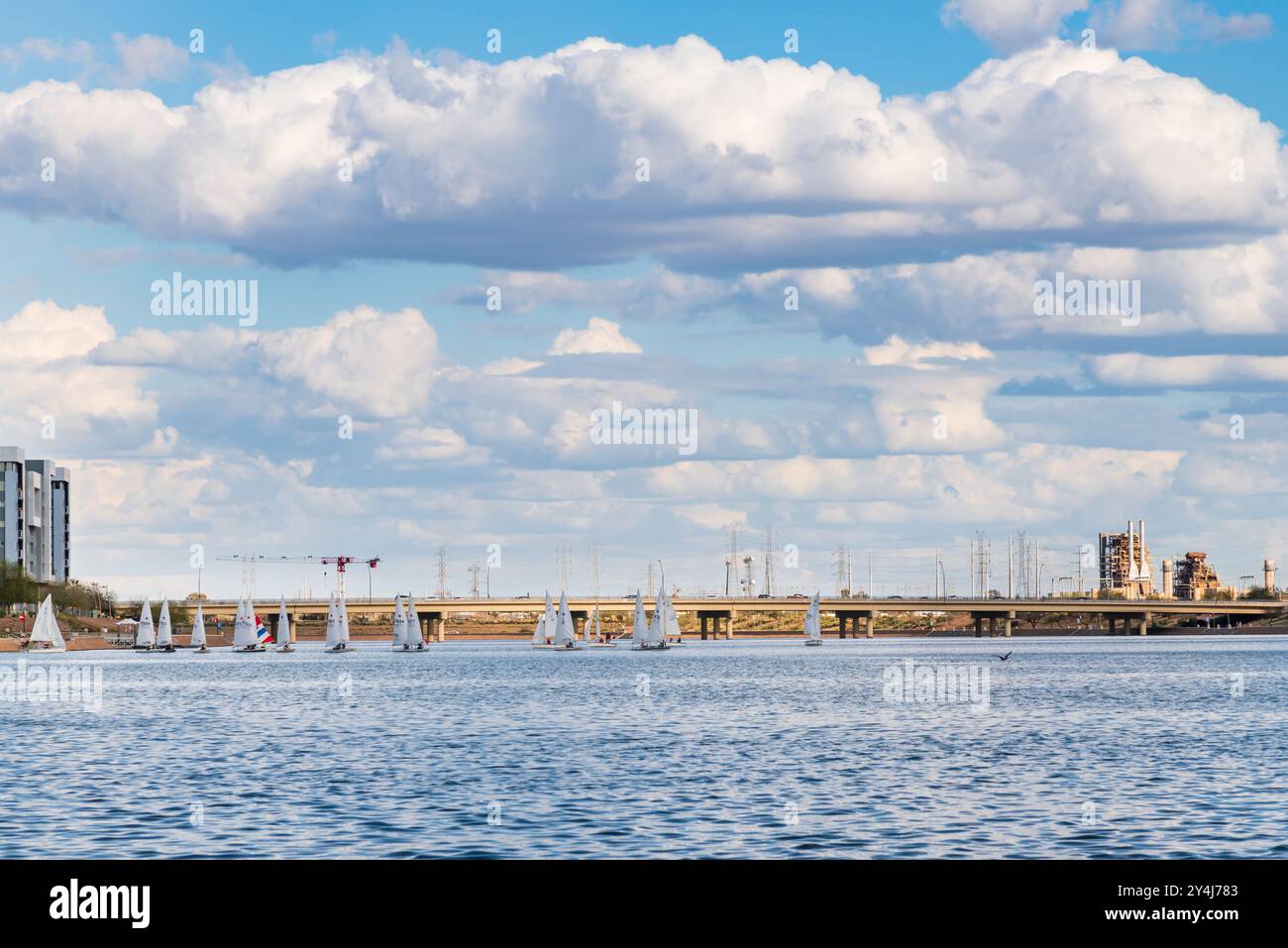 Sail boats in a regatta and cloudy sky at Tempe Town Lake near Phoenix ...