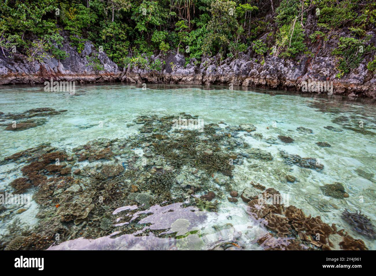 Indonesia, Raja Ampat, Panoramic view of the islands of the archipelago ...