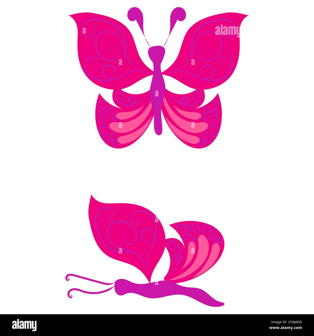 Butterfly with open wings and closed wings. Vector illustration ...