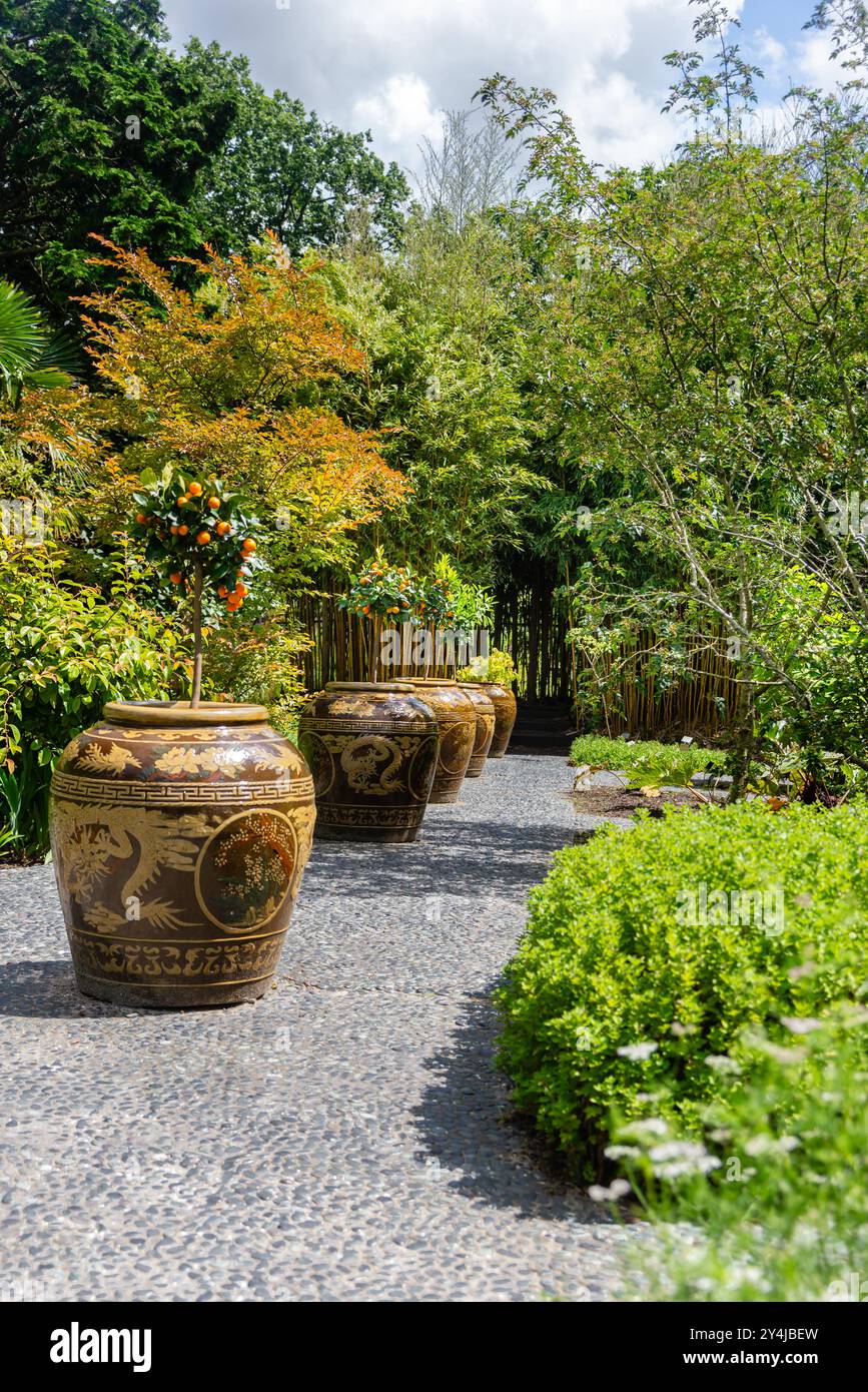 A serene scene at Botanical Garden with ornate pots, lush greenery, and ...