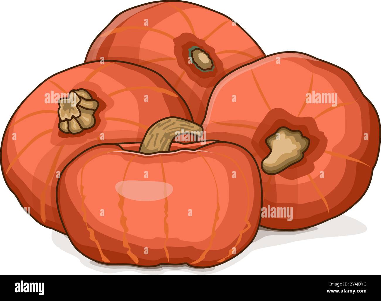 Group of Sunshine kabocha squash. Winter squash. Cucurbita maxima ...