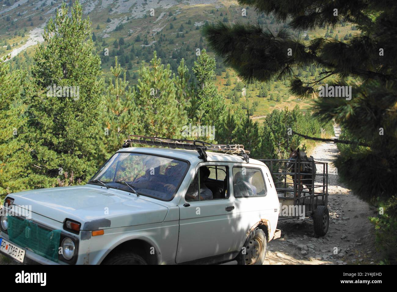 Classic 4x4 Avtovaz 2121 (Niva) towing a trailer and a horse in the Pelister National Park North ...