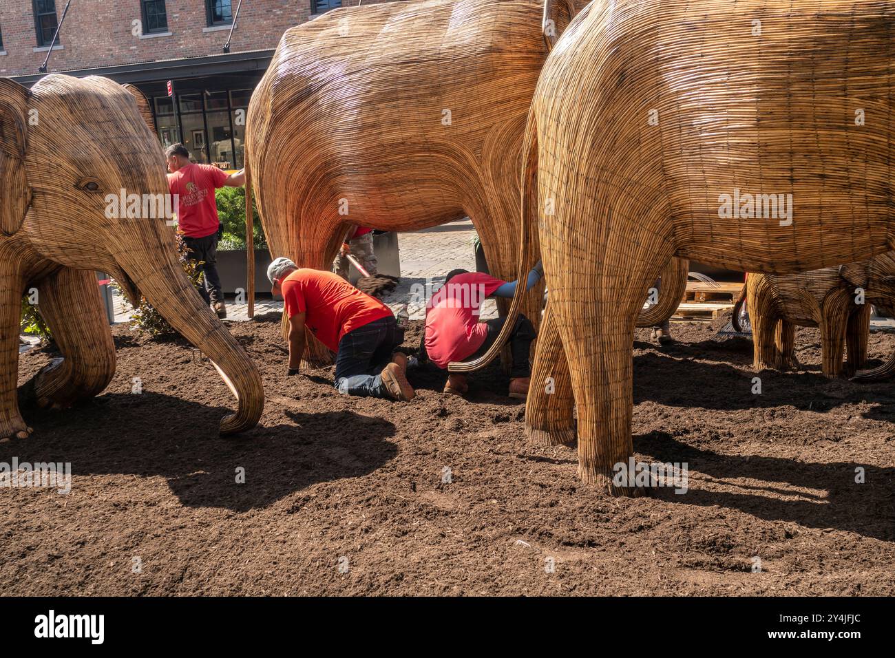 Workers prepare ground cover for the Great Elephant Migration public ...