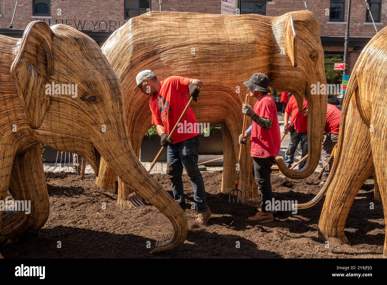 Workers prepare ground cover for the Great Elephant Migration public ...