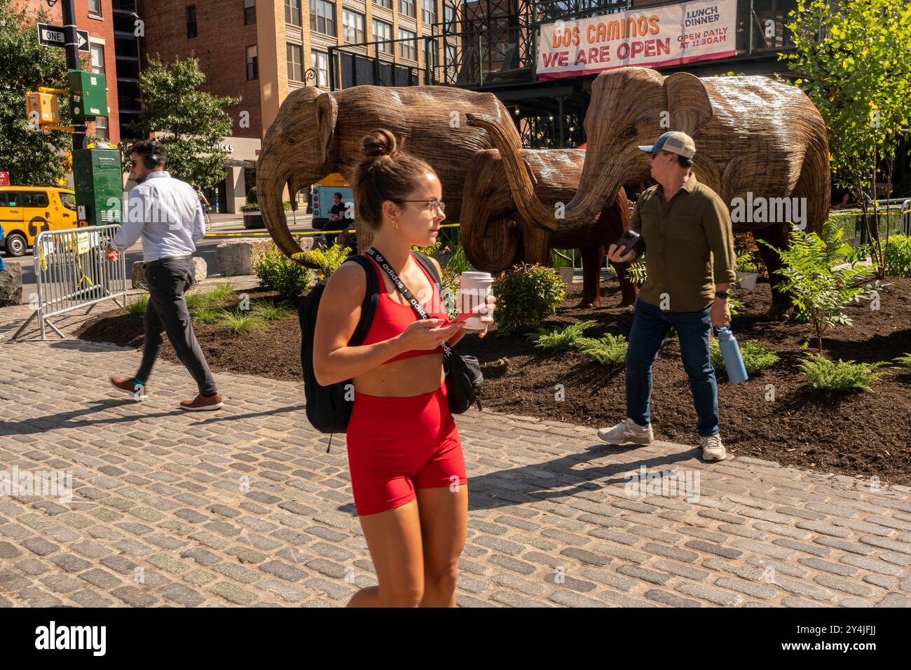People are awed by the Great Elephant Migration public art installation ...
