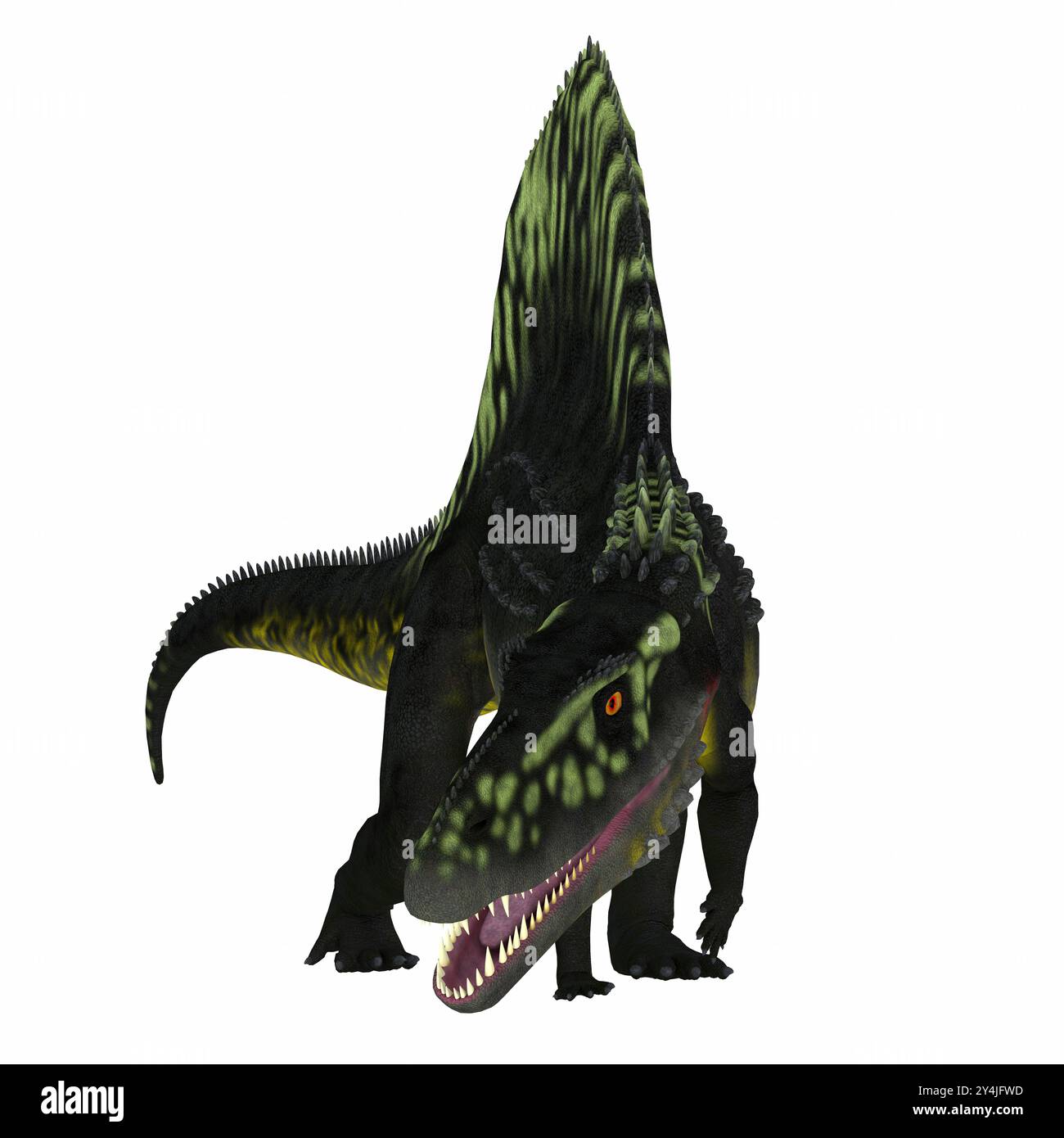 Arizonasaurus was a sailback carnivorous archosaur that lived in ...