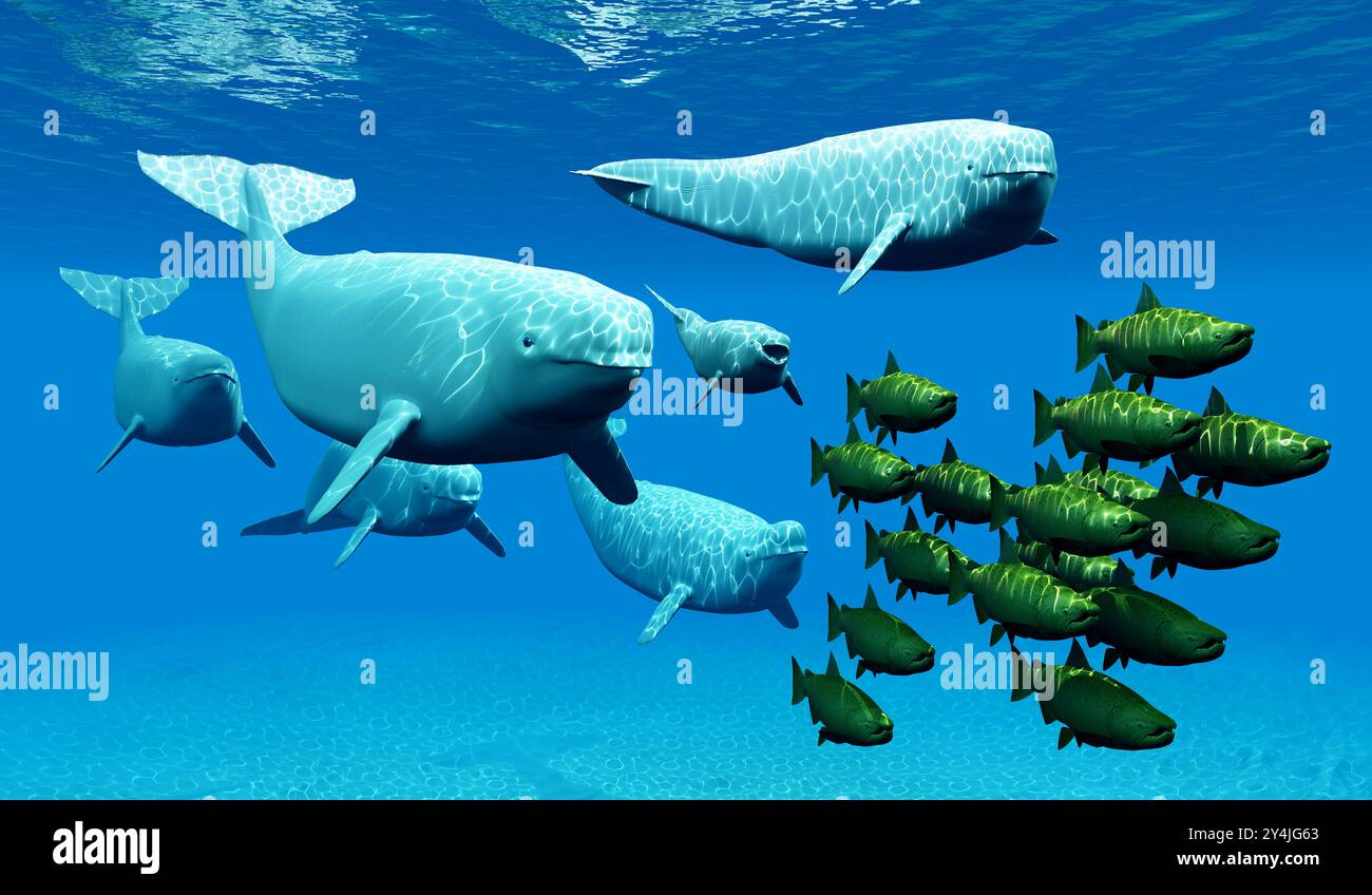 A pod of Beluga whales light up the ocean as they swim together near ...