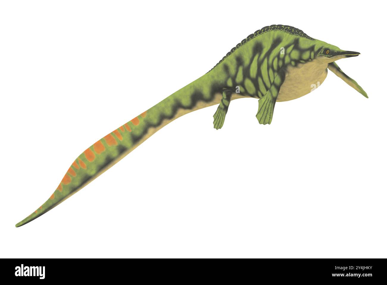Early jurassic marine reptiles hi-res stock photography and images - Alamy