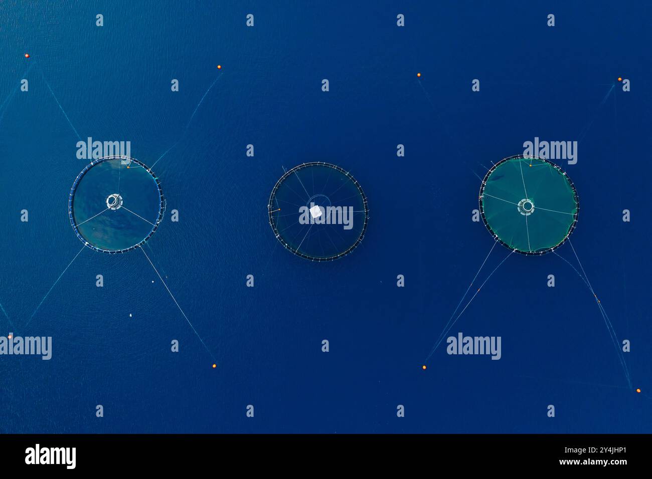 Aerial view of a fish farm with circular containment nets in clear blue ...