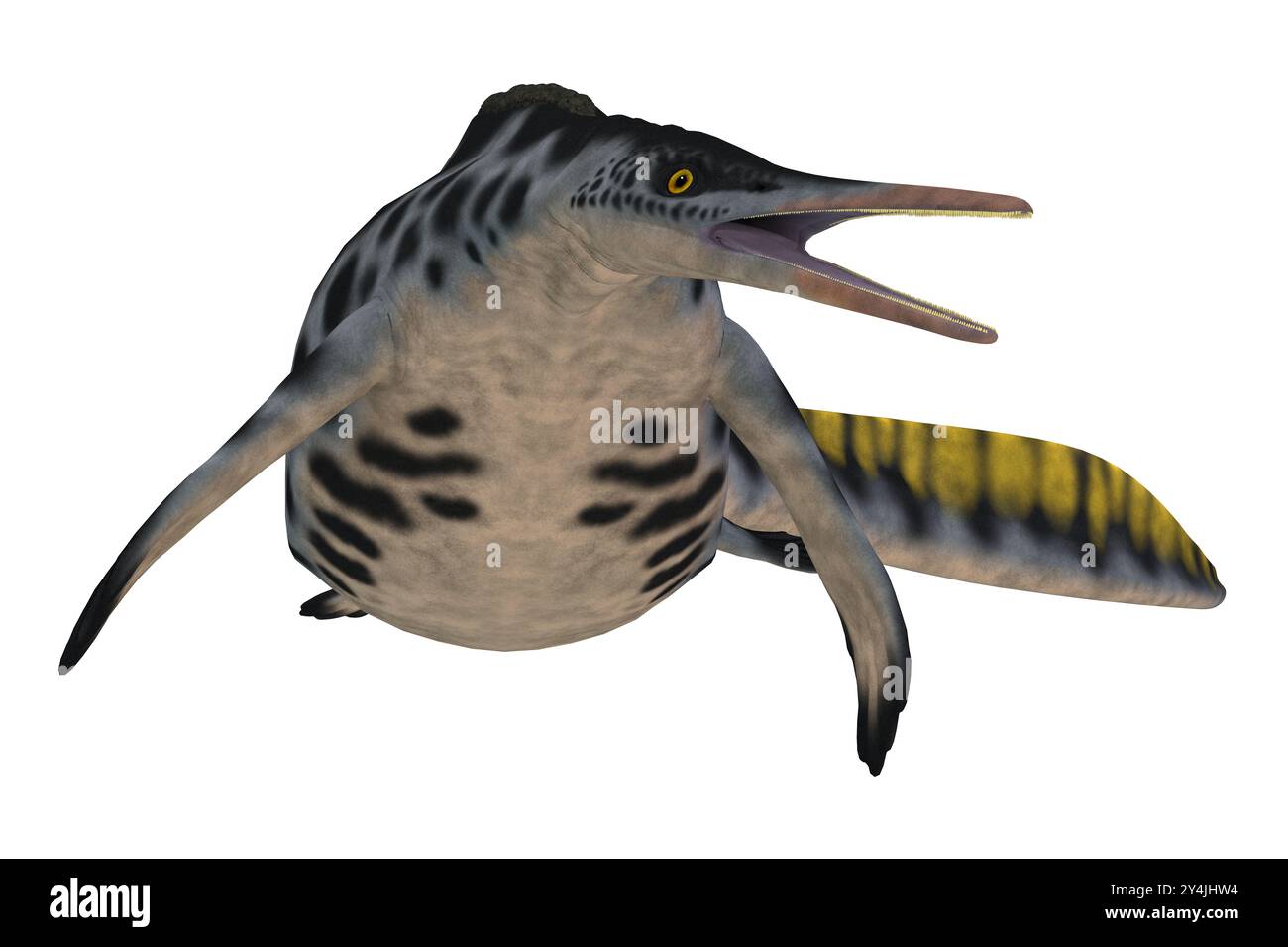 Ichthyosaur like reptile hi-res stock photography and images - Alamy