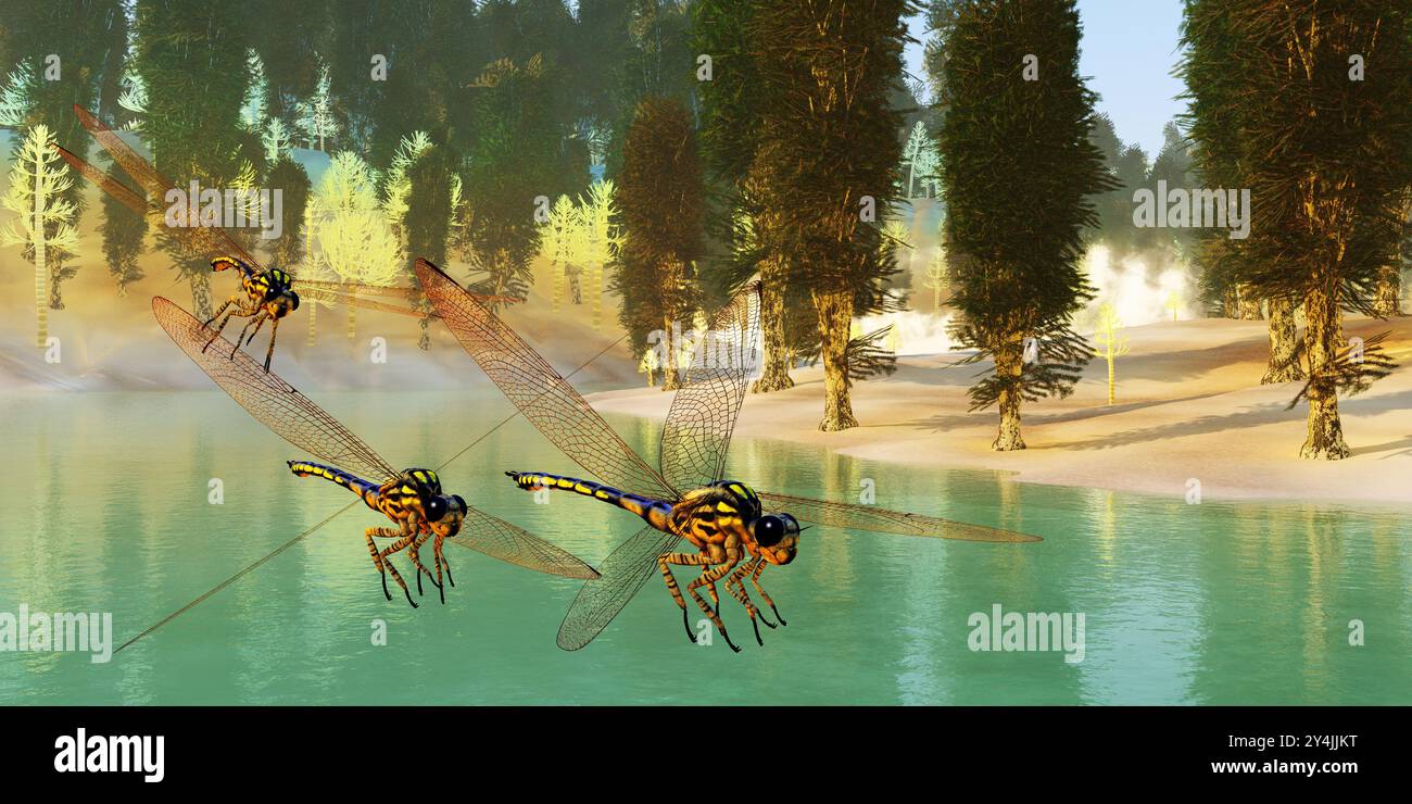 Meganeura was a large carnivorous dragonfly that lived in Europe during ...