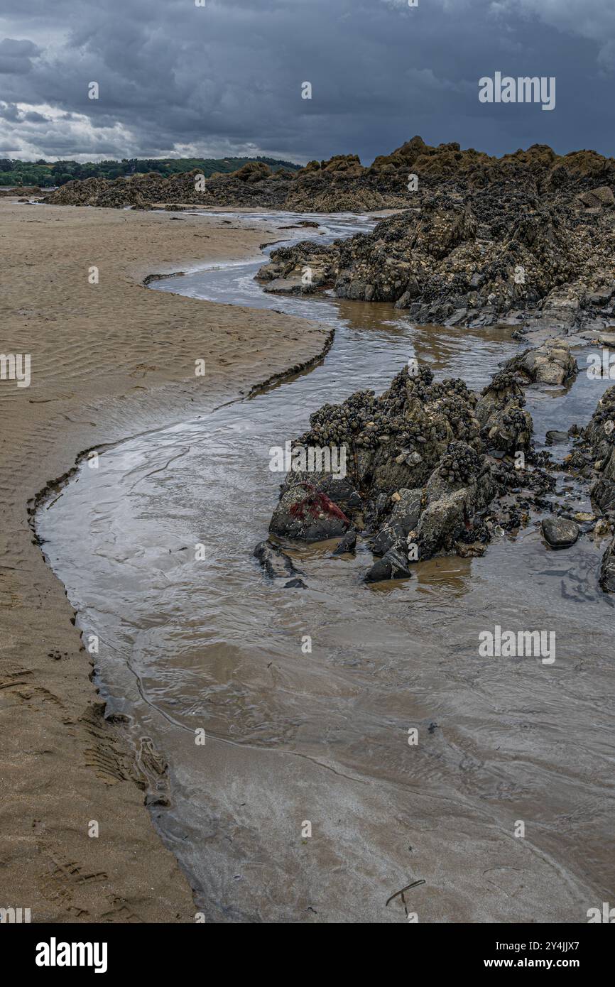 Plage de Saint-Pabu in Britttany at Low Tide, France Stock Photo - Alamy