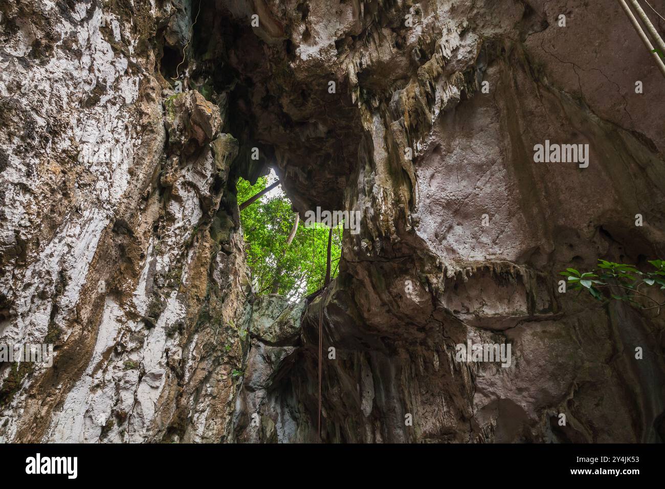 Landscape photo with a cave in rocks. National park Los Haitises ...