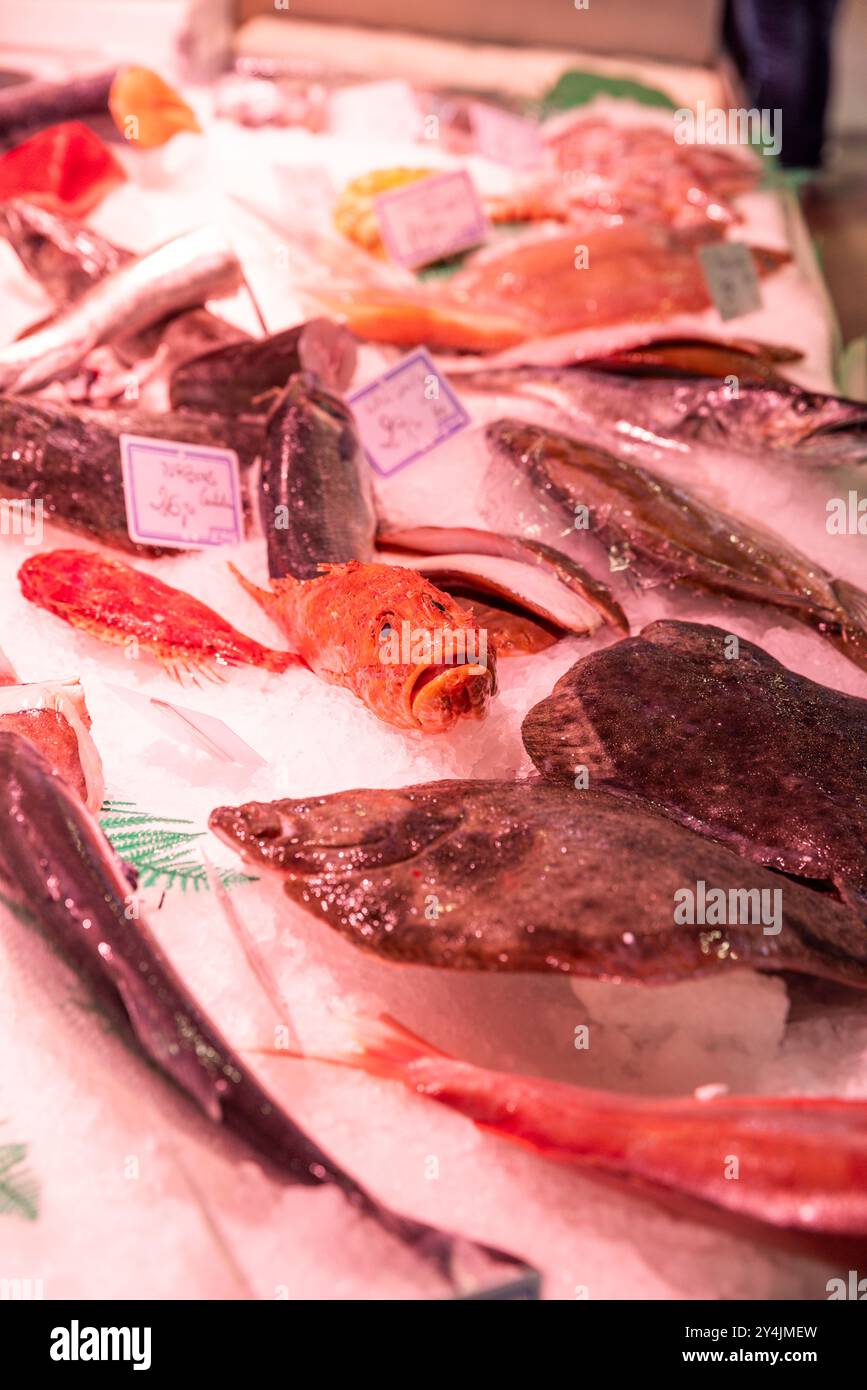 Fish displayed on ice and for sale at La Boqueria, a large public ...