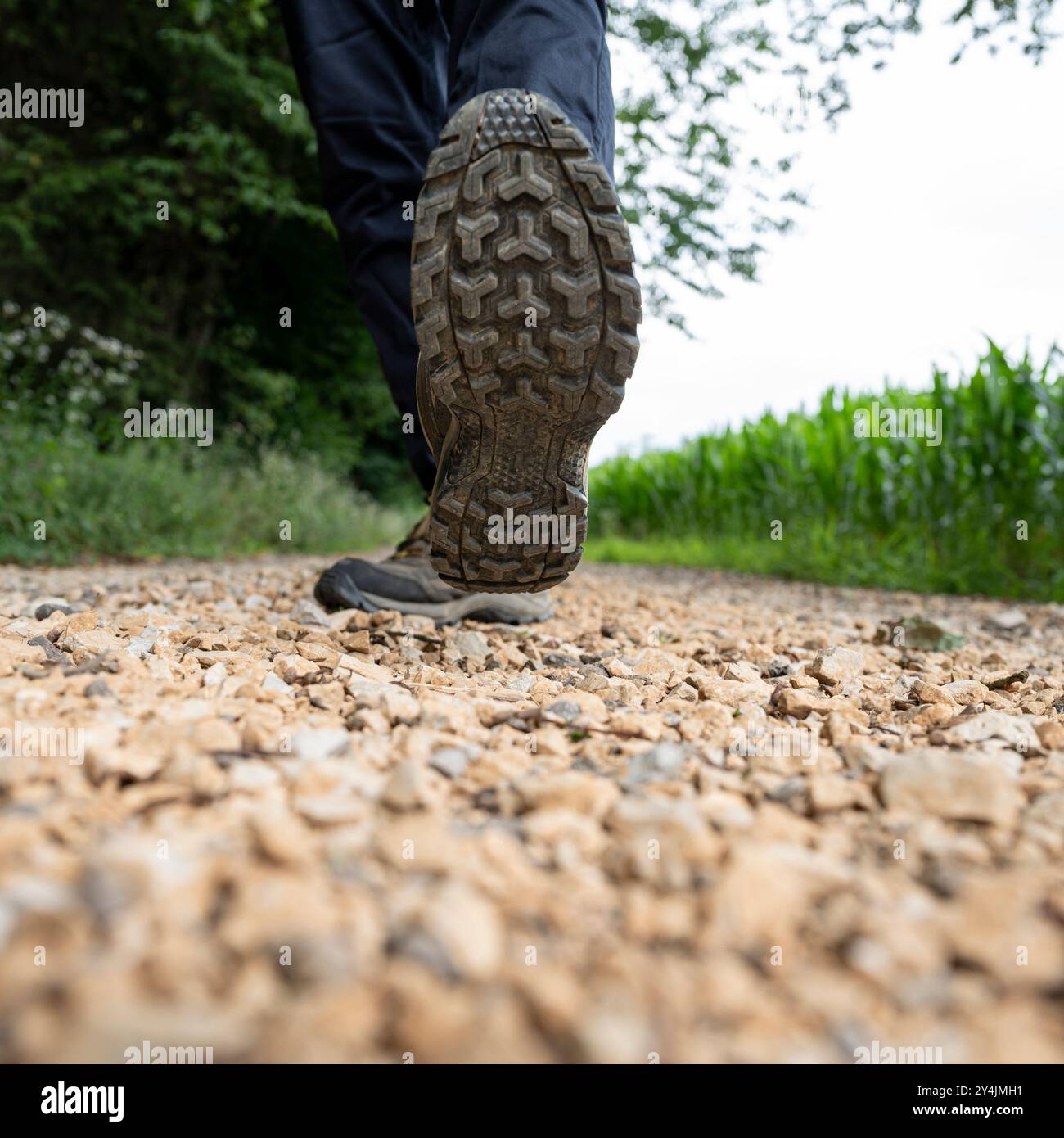 Low view path walk front hi-res stock photography and images - Alamy