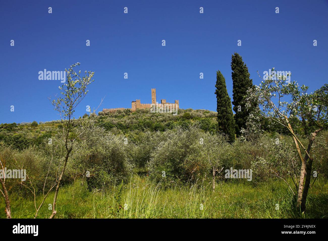 The Castle of Montecchio Vespone is a walled, castle with turrets and ...