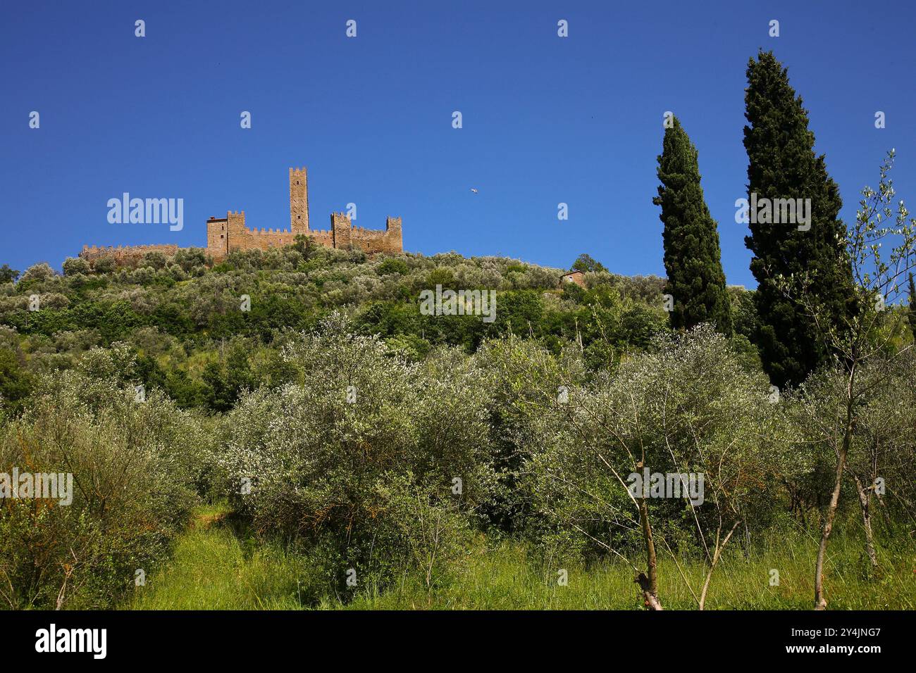 The Castle of Montecchio Vespone is a walled, castle with turrets and ...