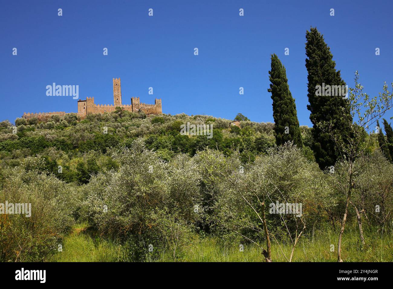 The Castle of Montecchio Vespone is a walled, castle with turrets and ...