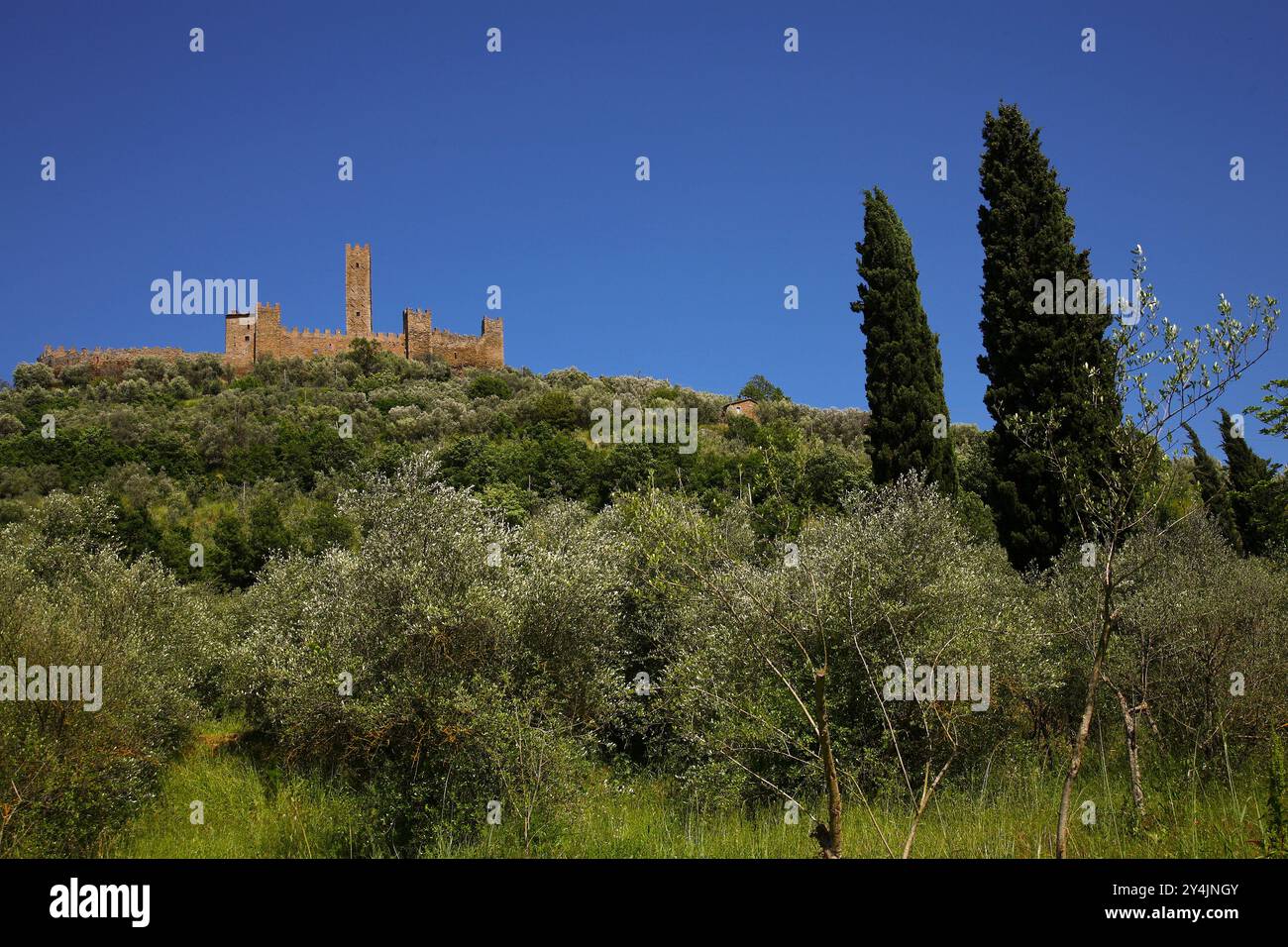 The Castle of Montecchio Vespone is a walled, castle with turrets and ...
