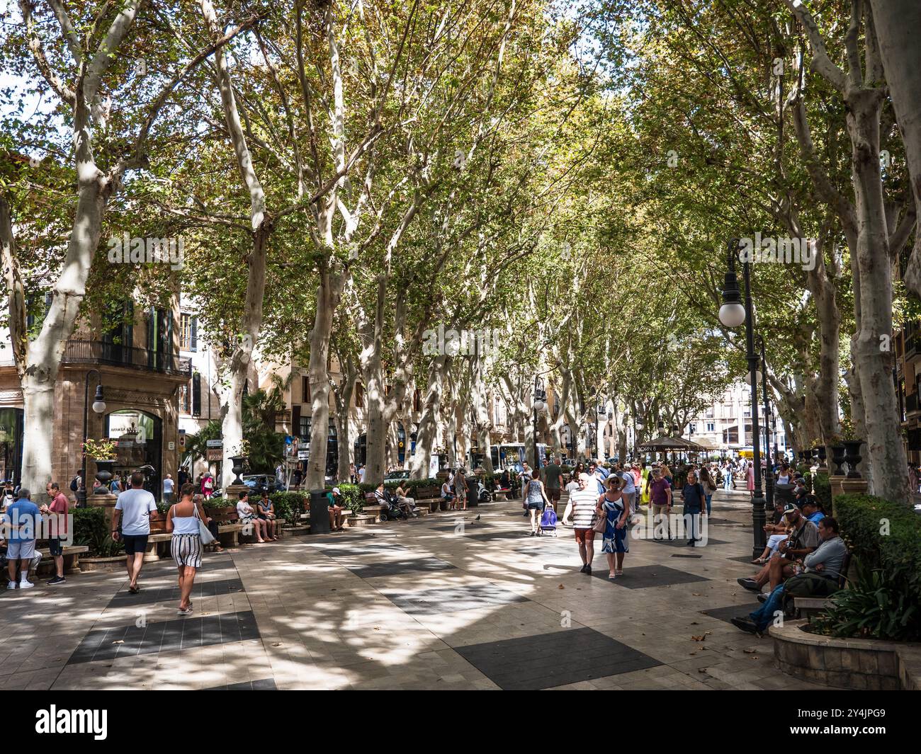 Palma de Mallorca, Spain; September 17th 2024: Passeig del Born ...