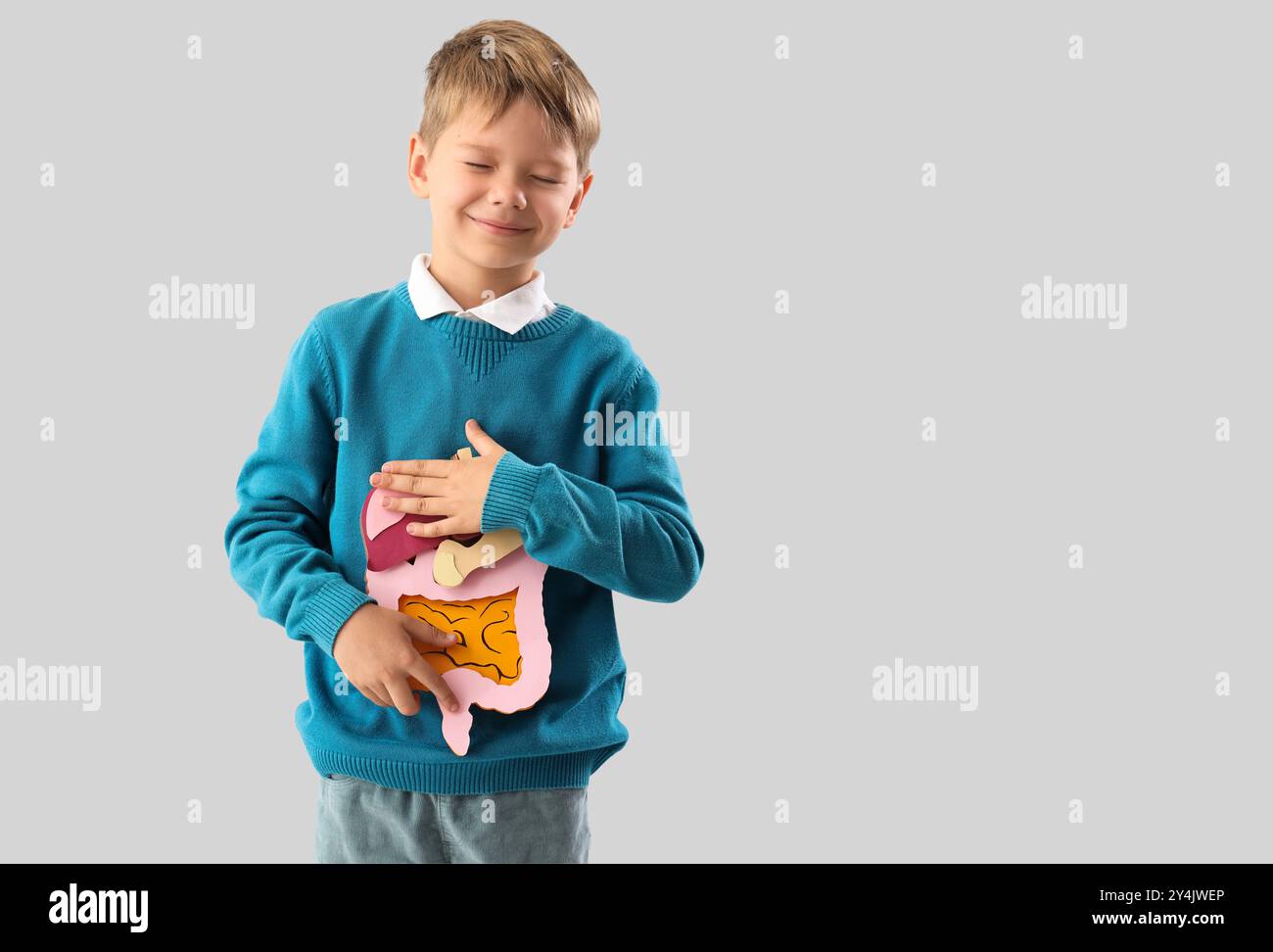 Little boy with paper digestive system on light background Stock Photo ...