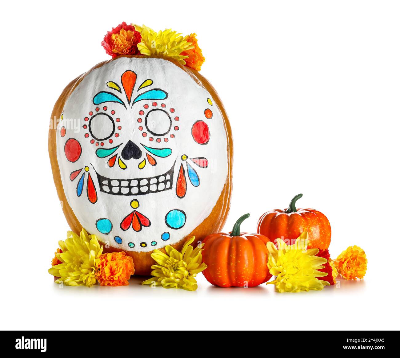 Pumpkin with painted skull and beautiful flowers on white background ...