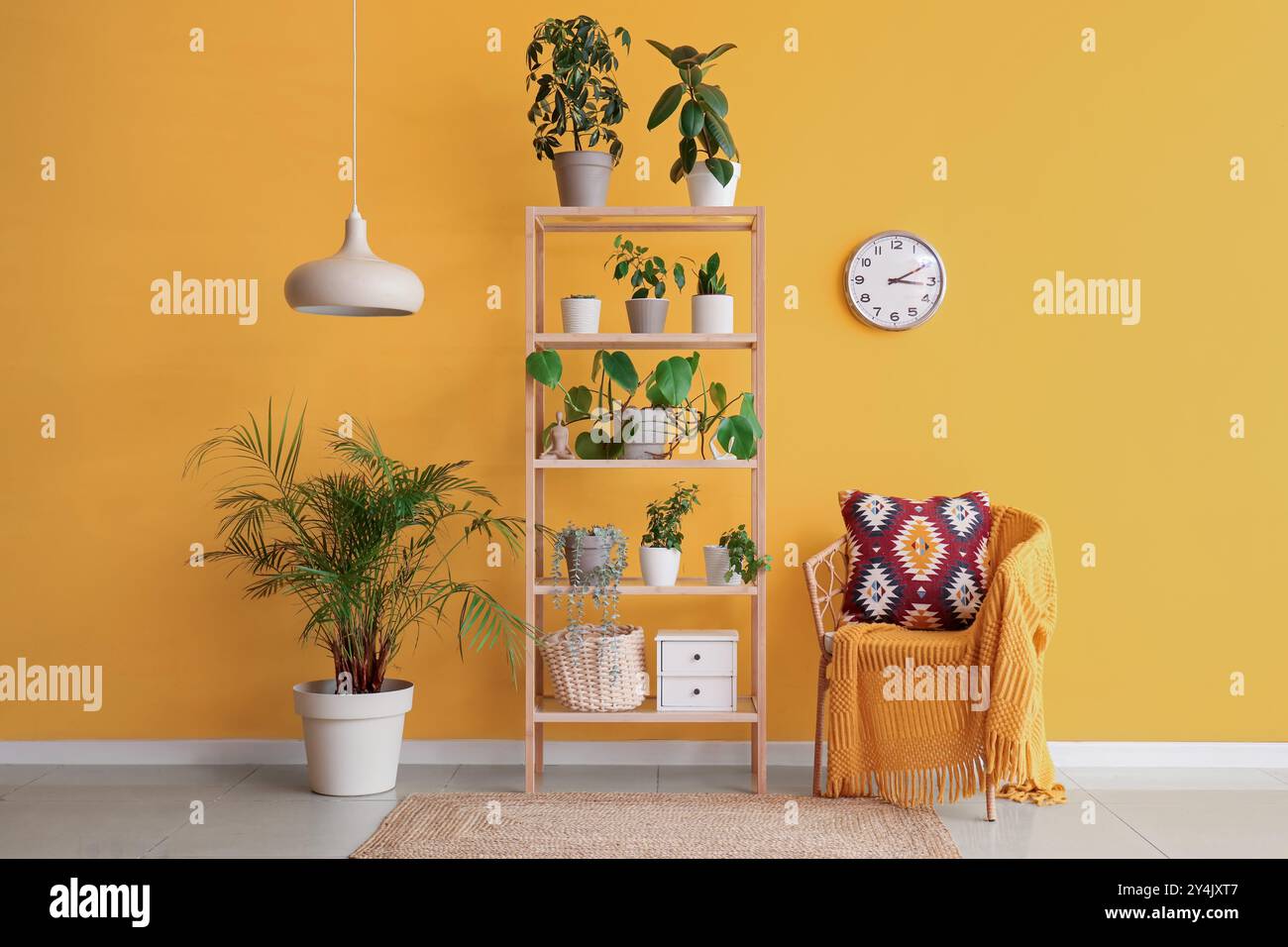 Interior of room with shelf unit, plants and armchair Stock Photo - Alamy