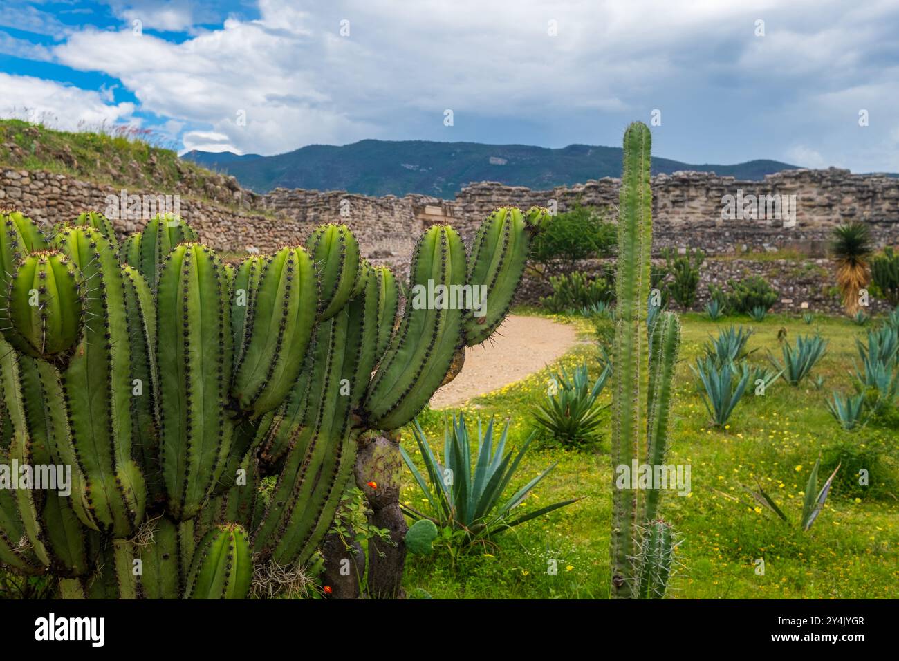 The pre-columbian ruins of Mitla in Oaxaca, Mexico Stock Photo - Alamy