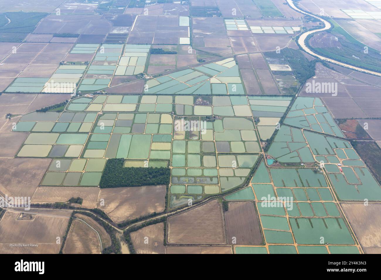 Aerial view of catfish farms near Isola, Mississippi, USA Stock Photo ...