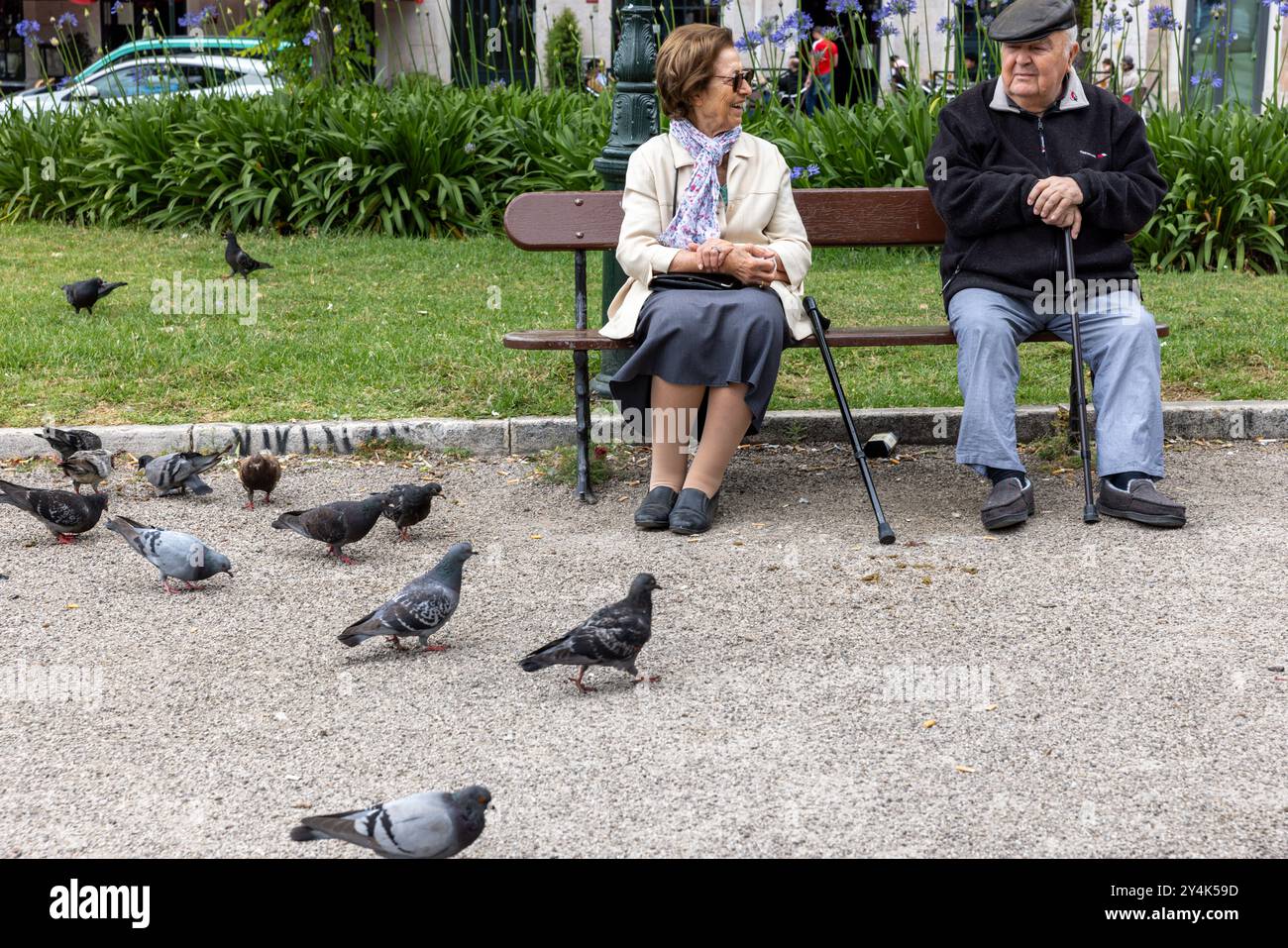 An elderly couple sitting on a park bench feeding pigeons in Lisbon ...