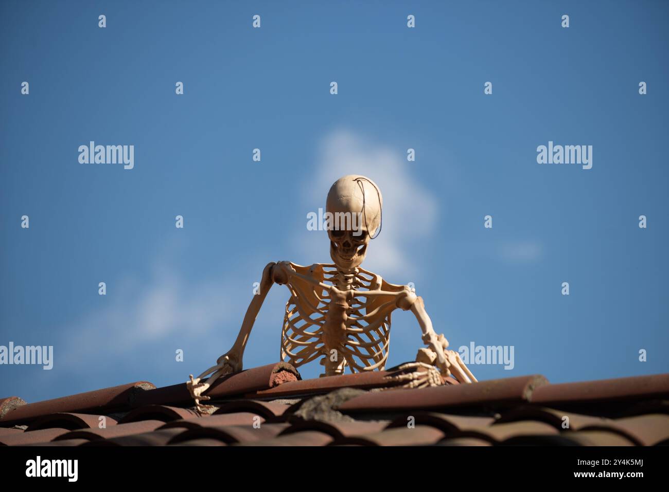 Halloween skeleton on roof. Skeleton for Halloween decorations. Trick ...