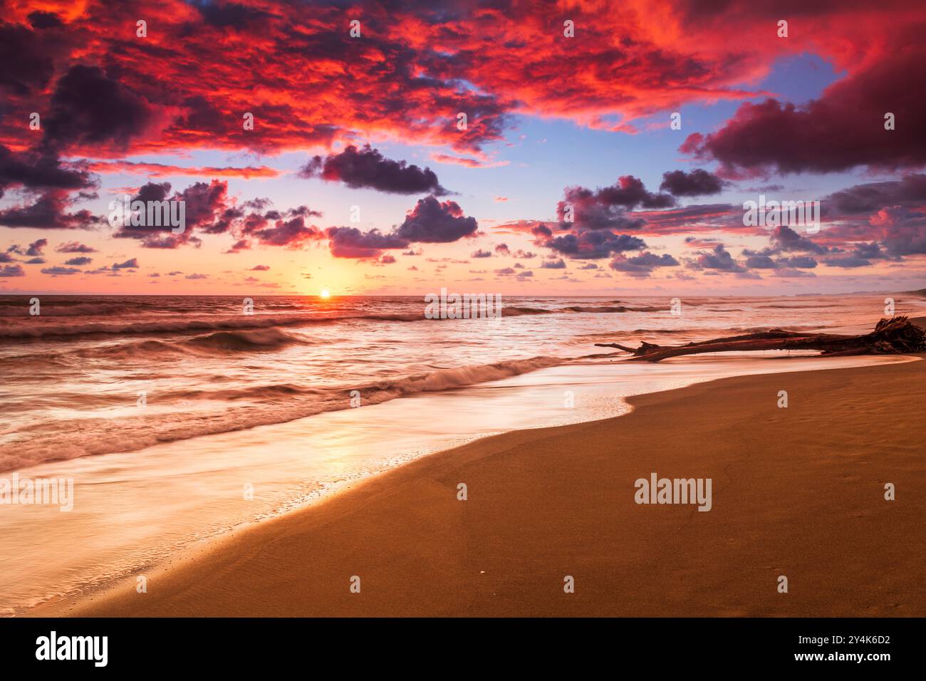 Sunset at Playa Matapalo beach, Puntarenas Province, Costa Rica Stock ...