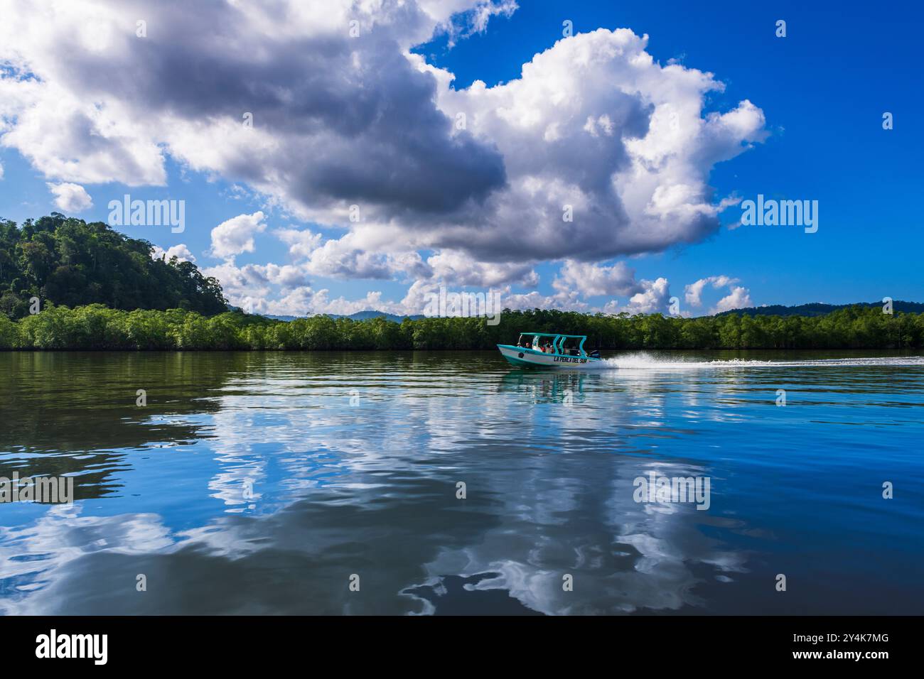 Tour boat on the Sierpe River, Terraba Sierpe National Wetlands ...