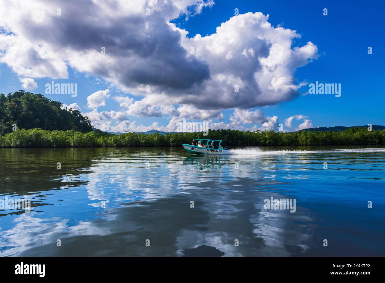 Tour boat on the Sierpe River, Terraba Sierpe National Wetlands ...