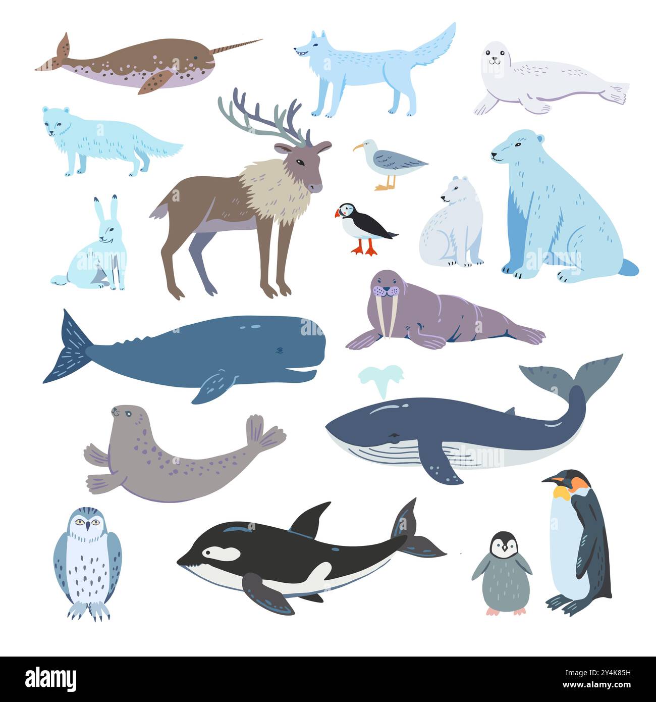 Big set of cute hand-drawn arctic and antarctic animals, whales ...