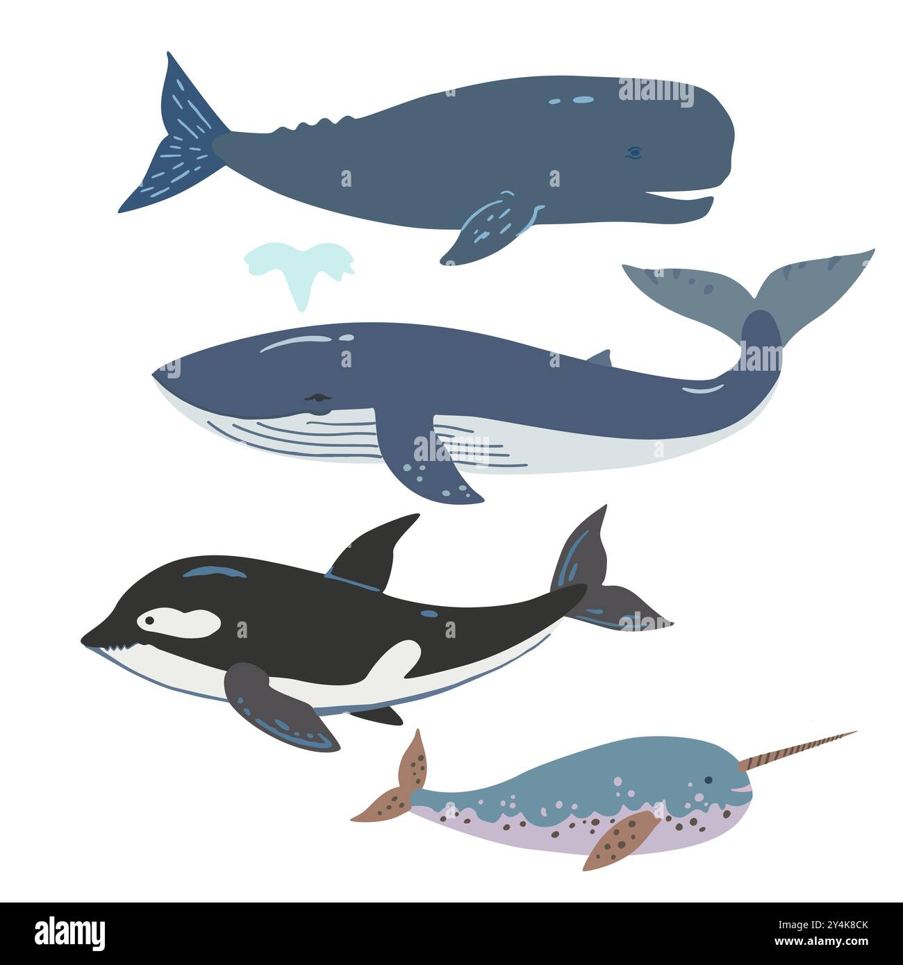 Set of cute hand-drawn whales, blue whale, sperm whale, orca and ...