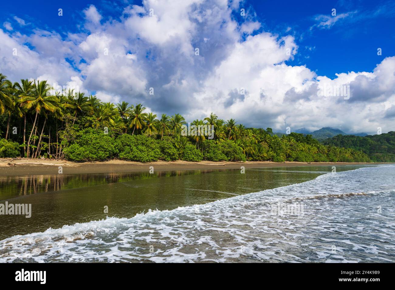Surf and coconut palms at Playa Matapalo, Puntarenas Province, Costa ...