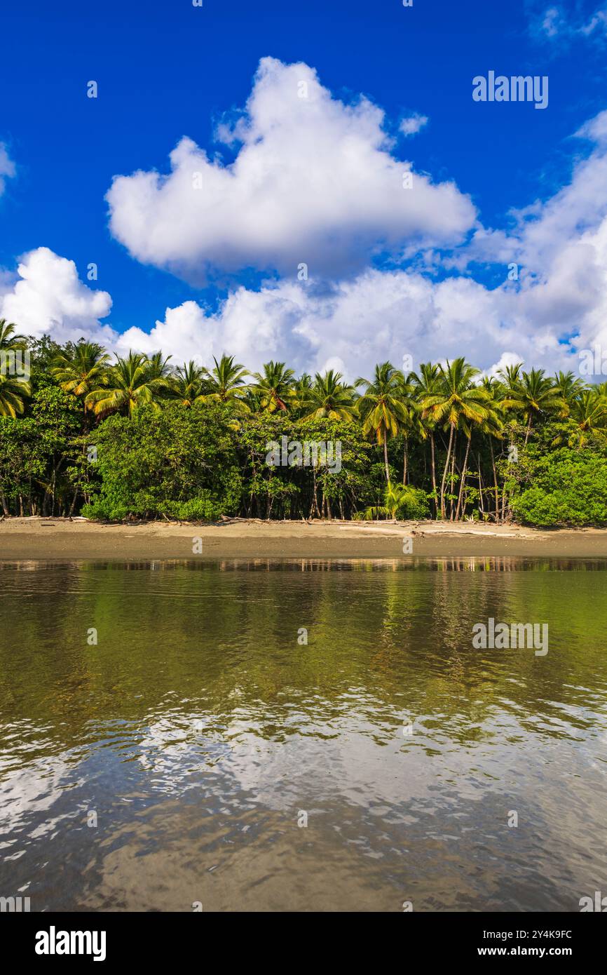 Surf and coconut palms at Playa Matapalo, Puntarenas Province, Costa ...