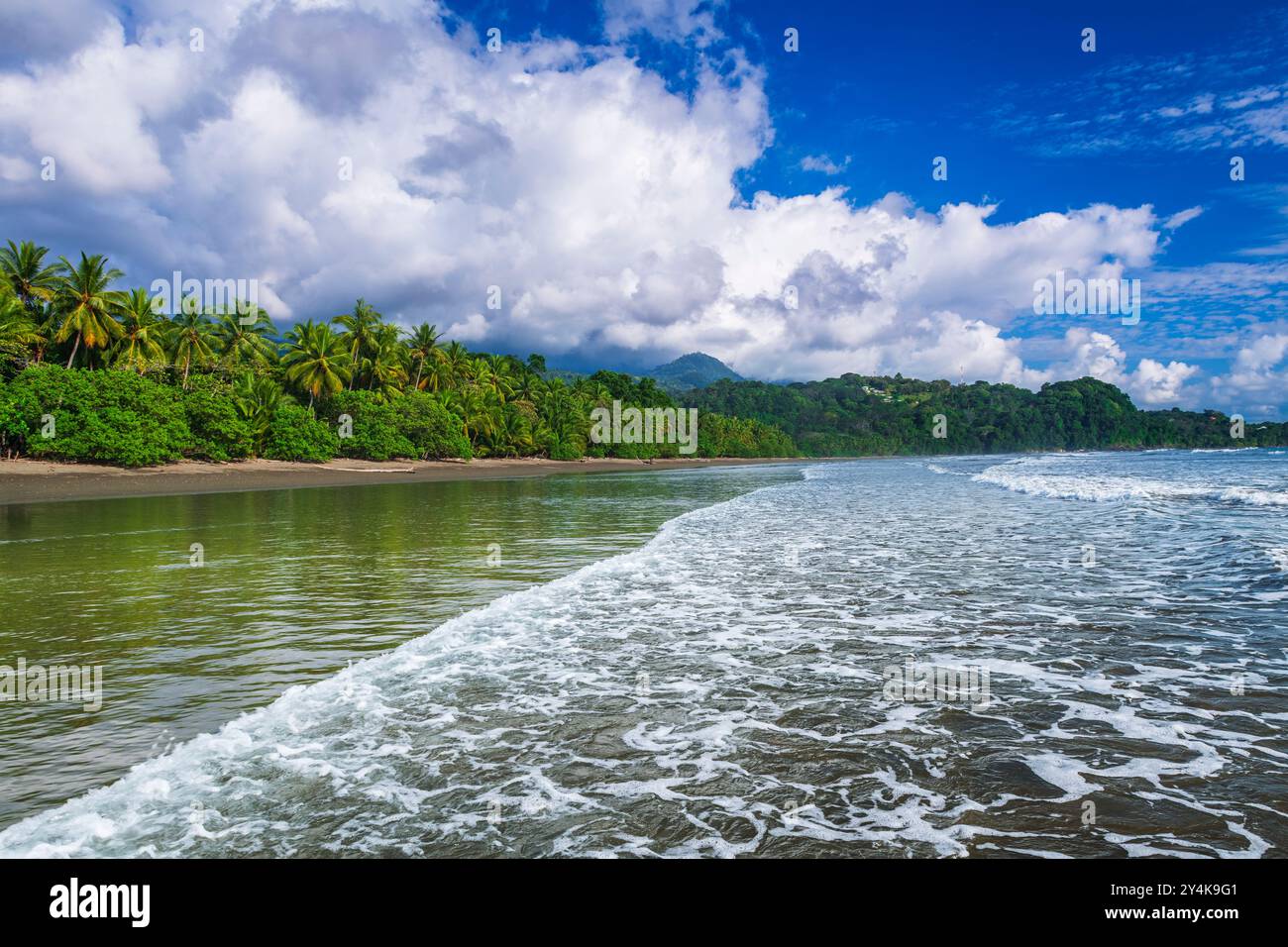 Surf and coconut palms at Playa Matapalo, Puntarenas Province, Costa ...