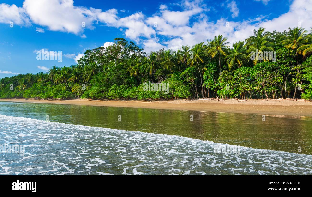 Surf and coconut palms at Playa Matapalo, Puntarenas Province, Costa ...