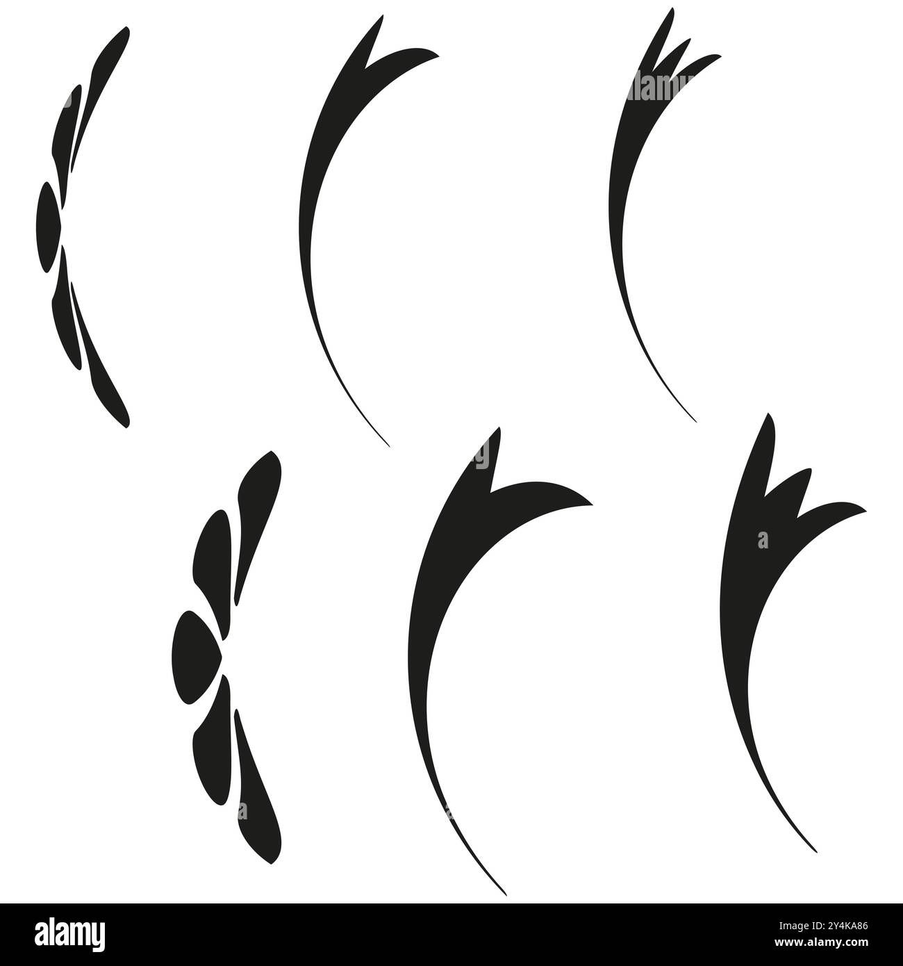 Geometric petal shapes. Organic abstract forms. Curved floral elements ...