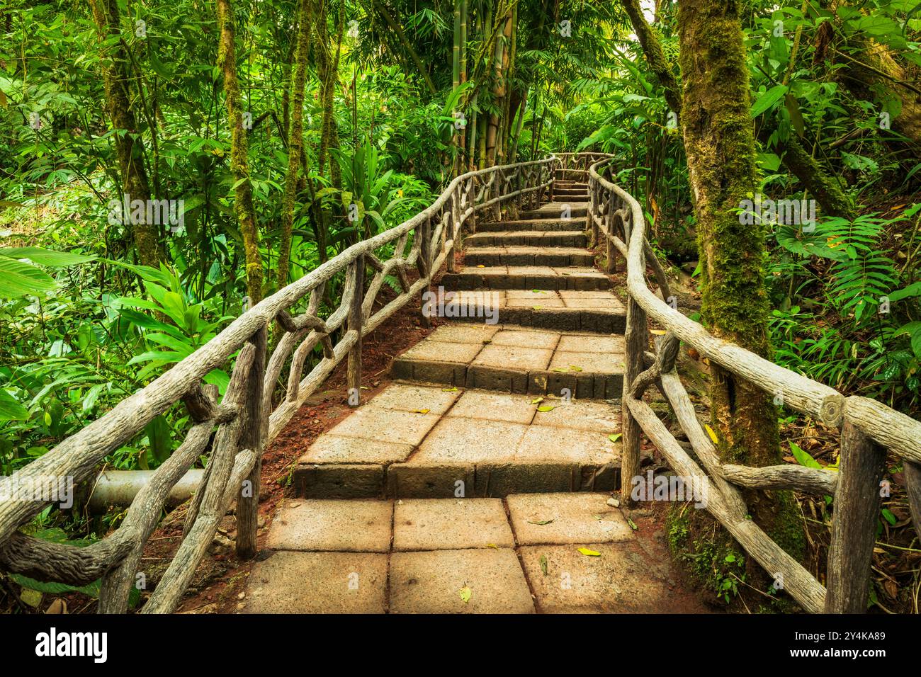 Forest trail at La Paz Waterfall Gardens, Alajuela Province, Costa Rica ...