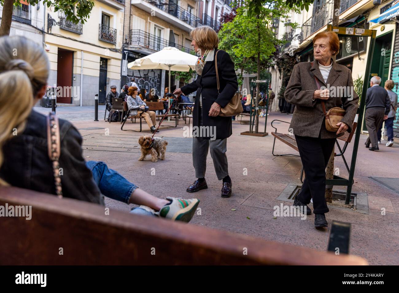 Daily life as people gather in a quaint square in the Barrio de Las ...