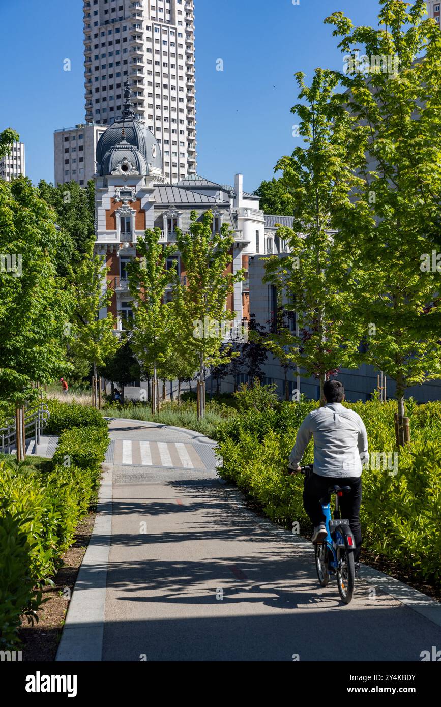 Streets, bike paths and foot paths in Madrid, Spain are lined with ...