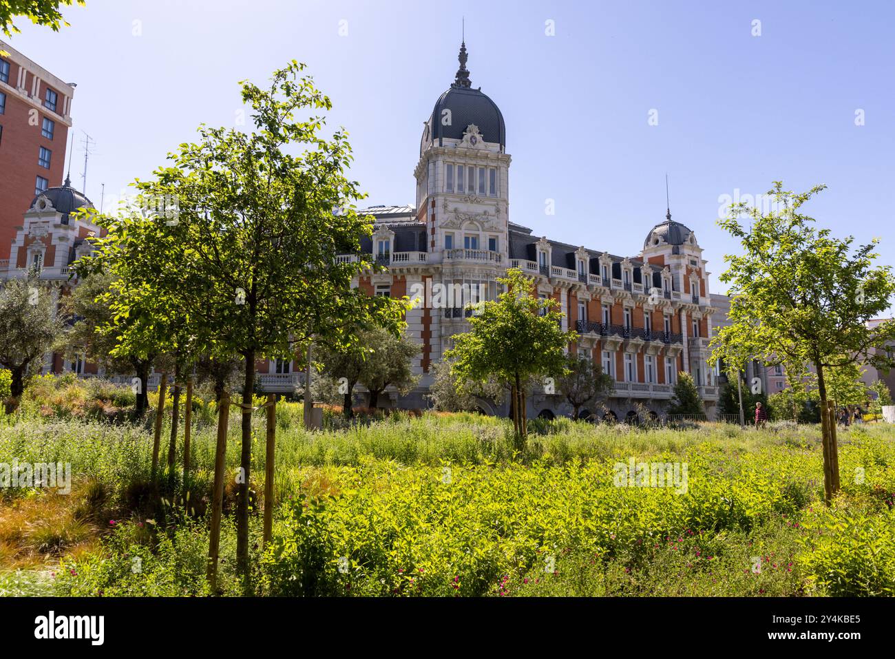 Streets, bike paths and foot paths in Madrid, Spain are lined with ...
