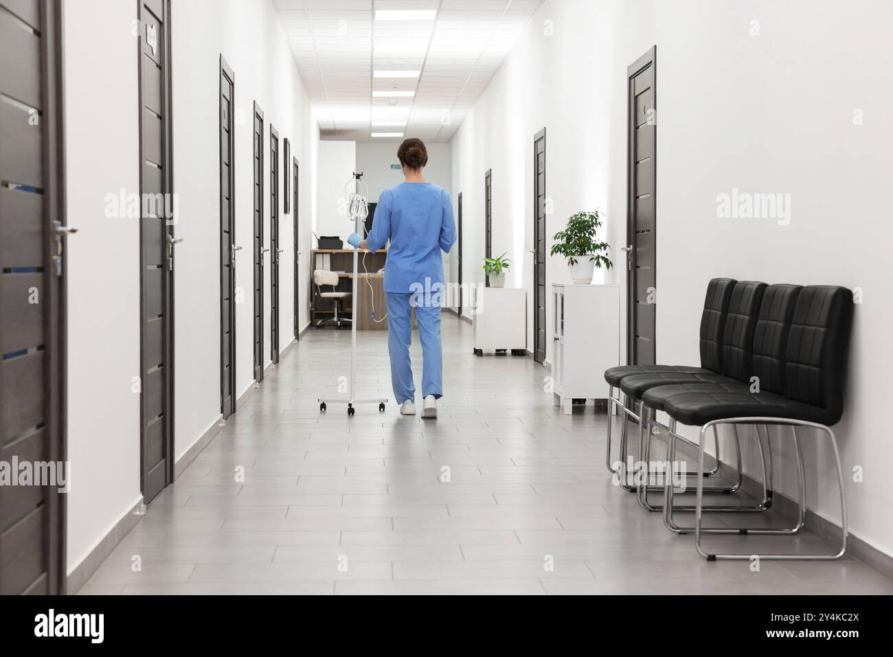 Nurse with IV drip in hospital hallway, back view Stock Photo - Alamy