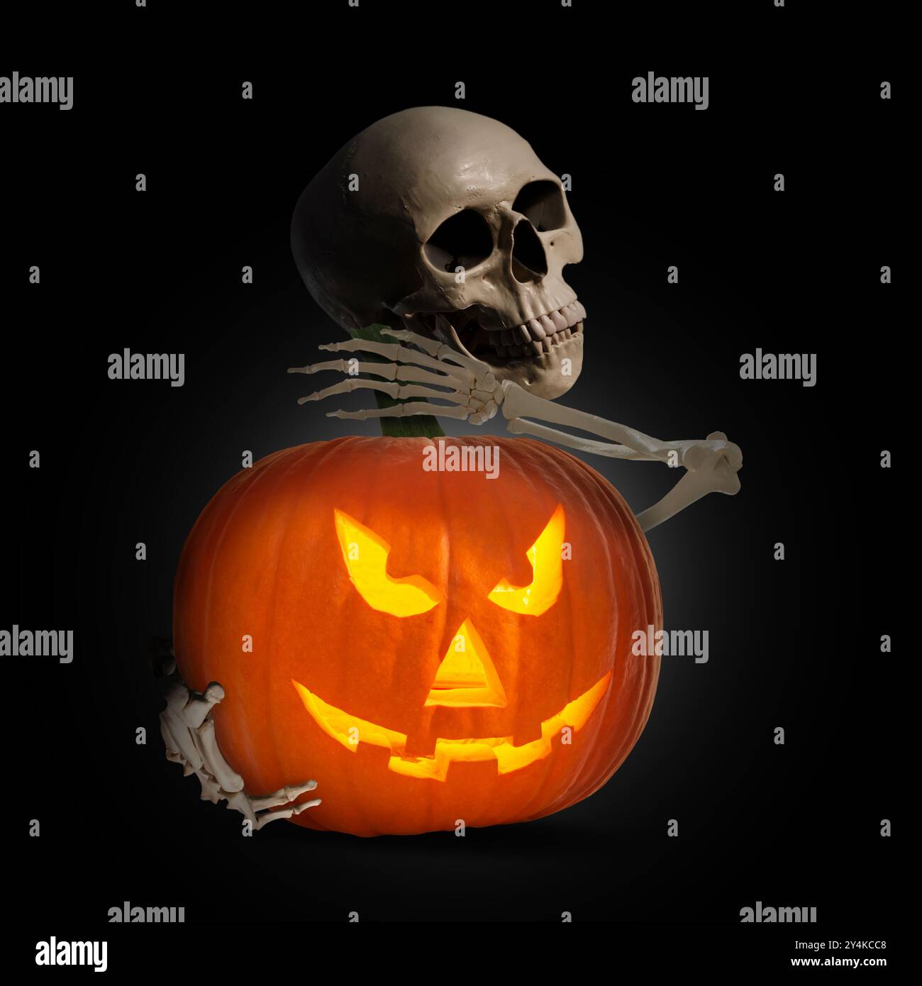 Scary skeleton hugging spooky jack o'lantern on black background ...